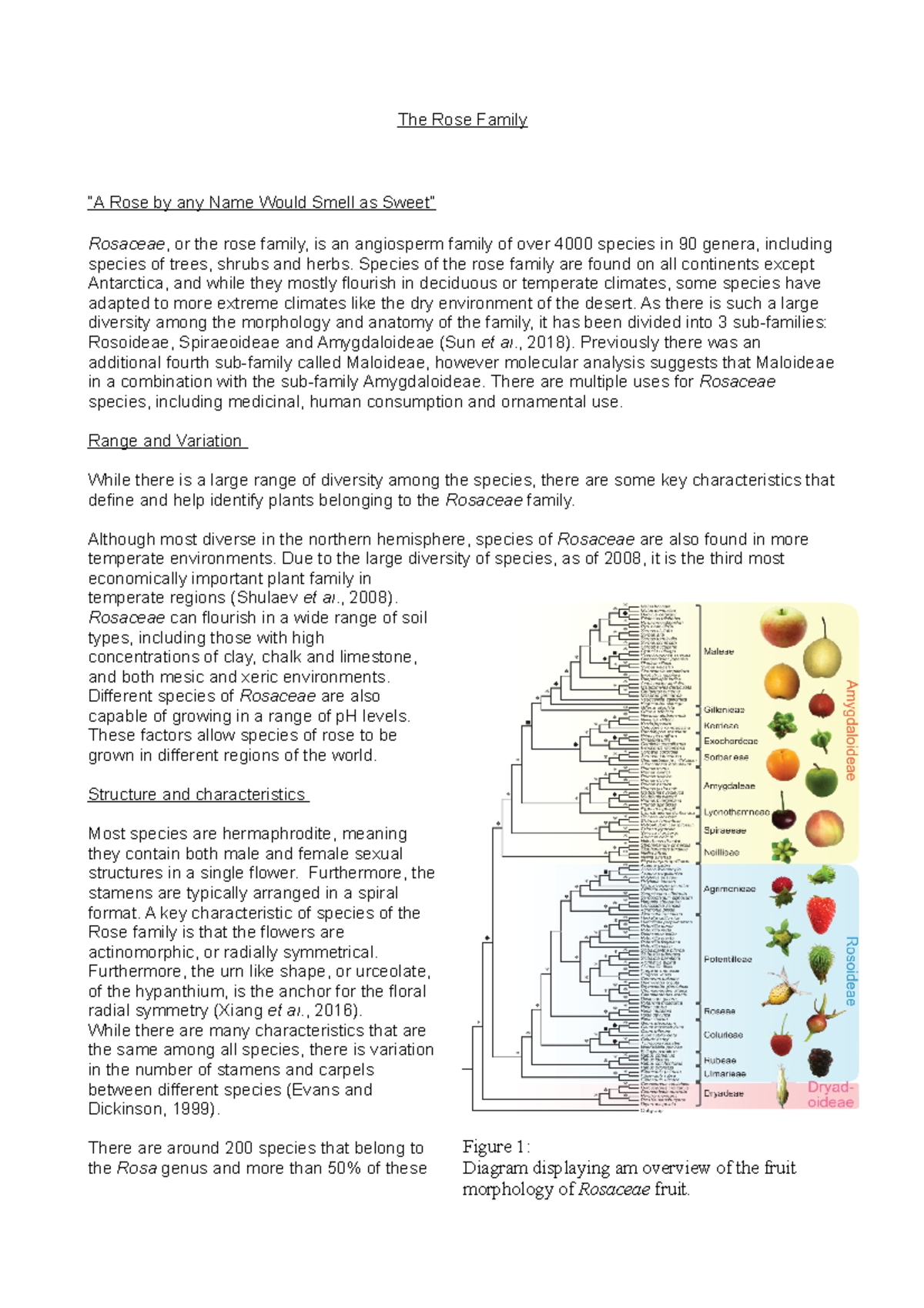 Plant profile assignment - The Rose Family “A Rose by any Name Would ...