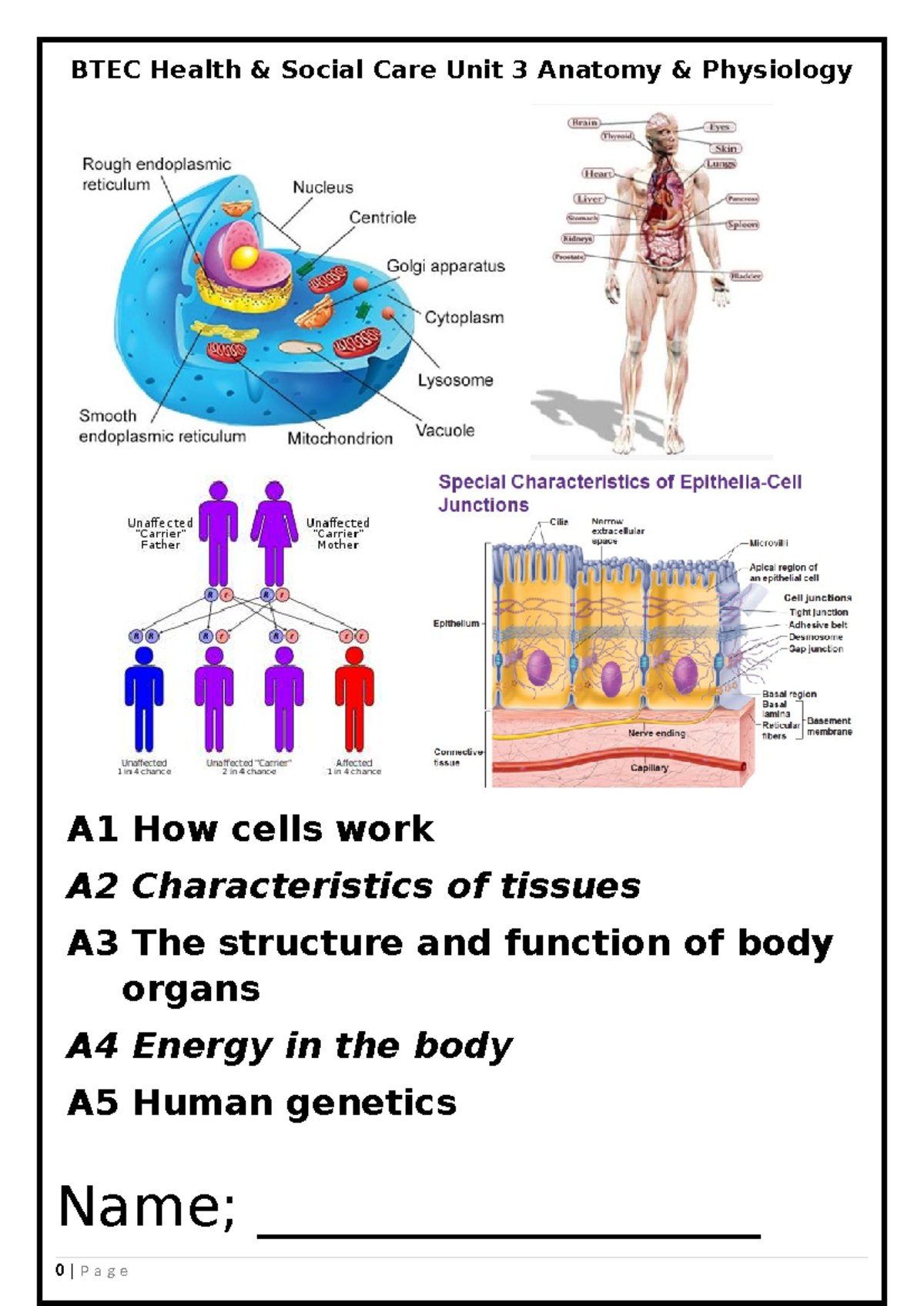 BTEC Health & Social Care Unit 3: Anatomy & Physiology Learning Aim A ...