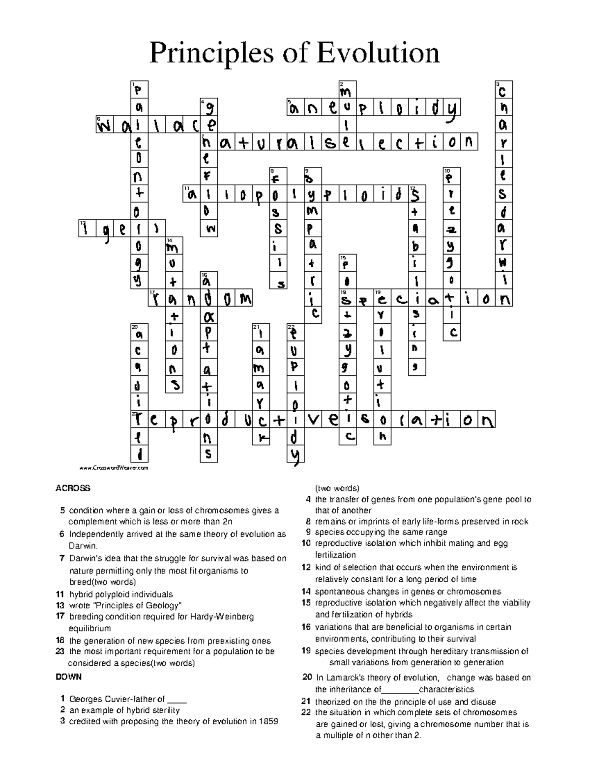 Principles of Evolution: Crossword Puzzle for Module 2 - Studocu