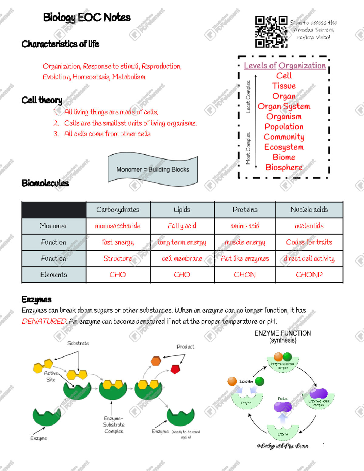 Biology EOC Final Exam Review Answers and Study Guide - Studocu