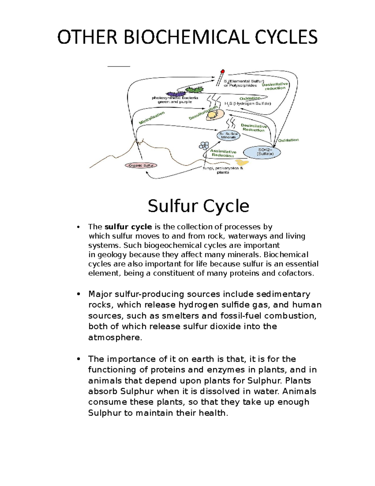 Biochemical Cycles - BioChem Cycle - Sulfur Cycle The sulfur cycle is ...