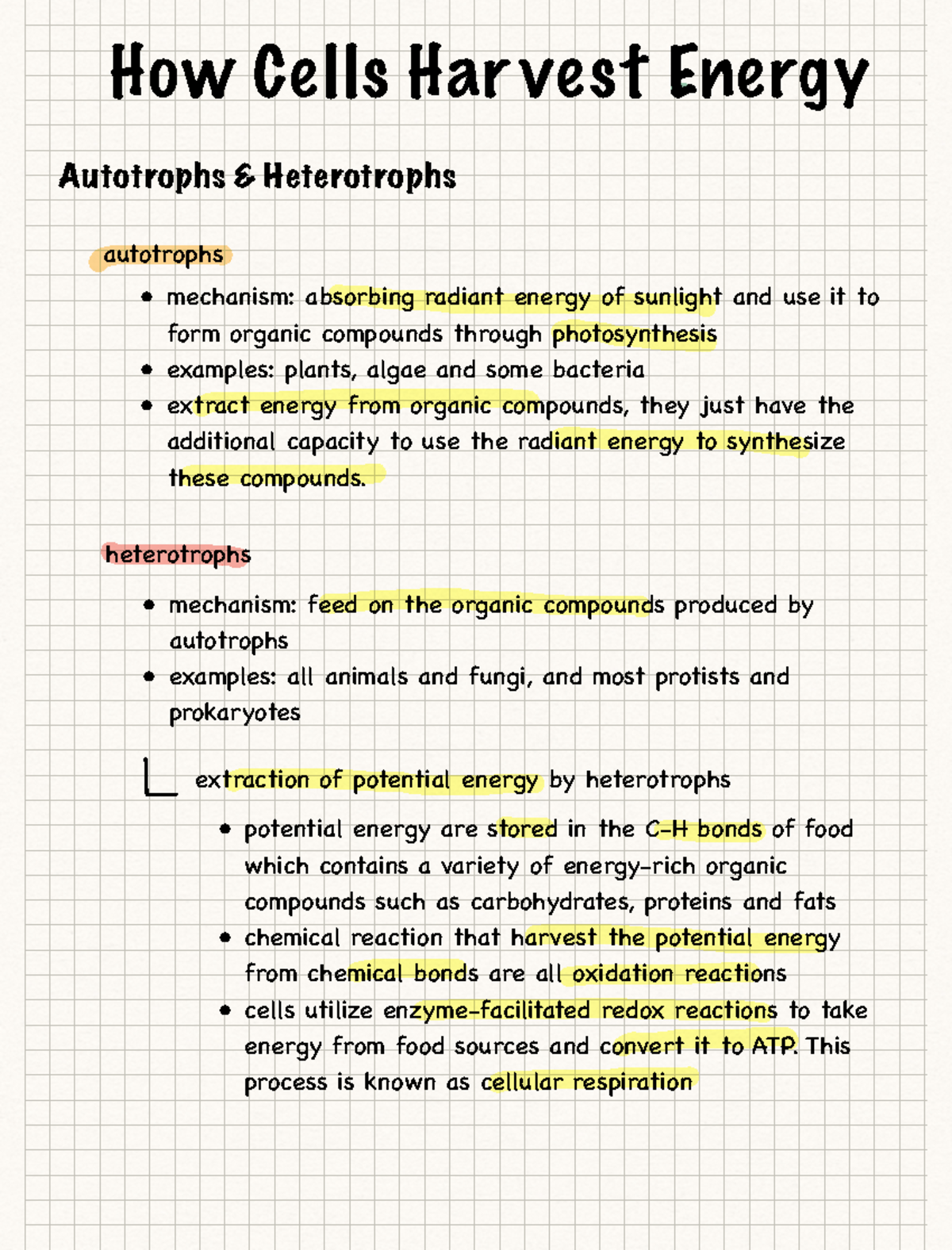 Chapter 7 How Cells Harvest Energy - autotrophs - mechanism: absorbing ...
