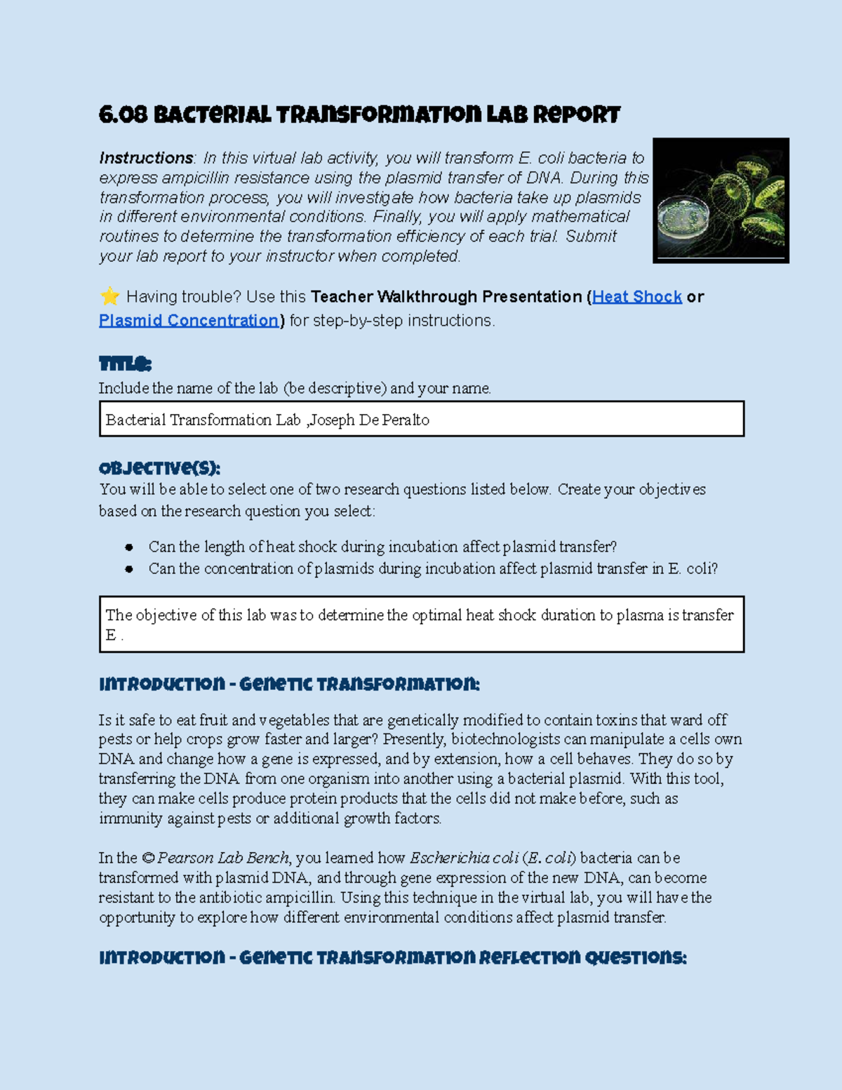 Bacterial Transformation Heat Shock
