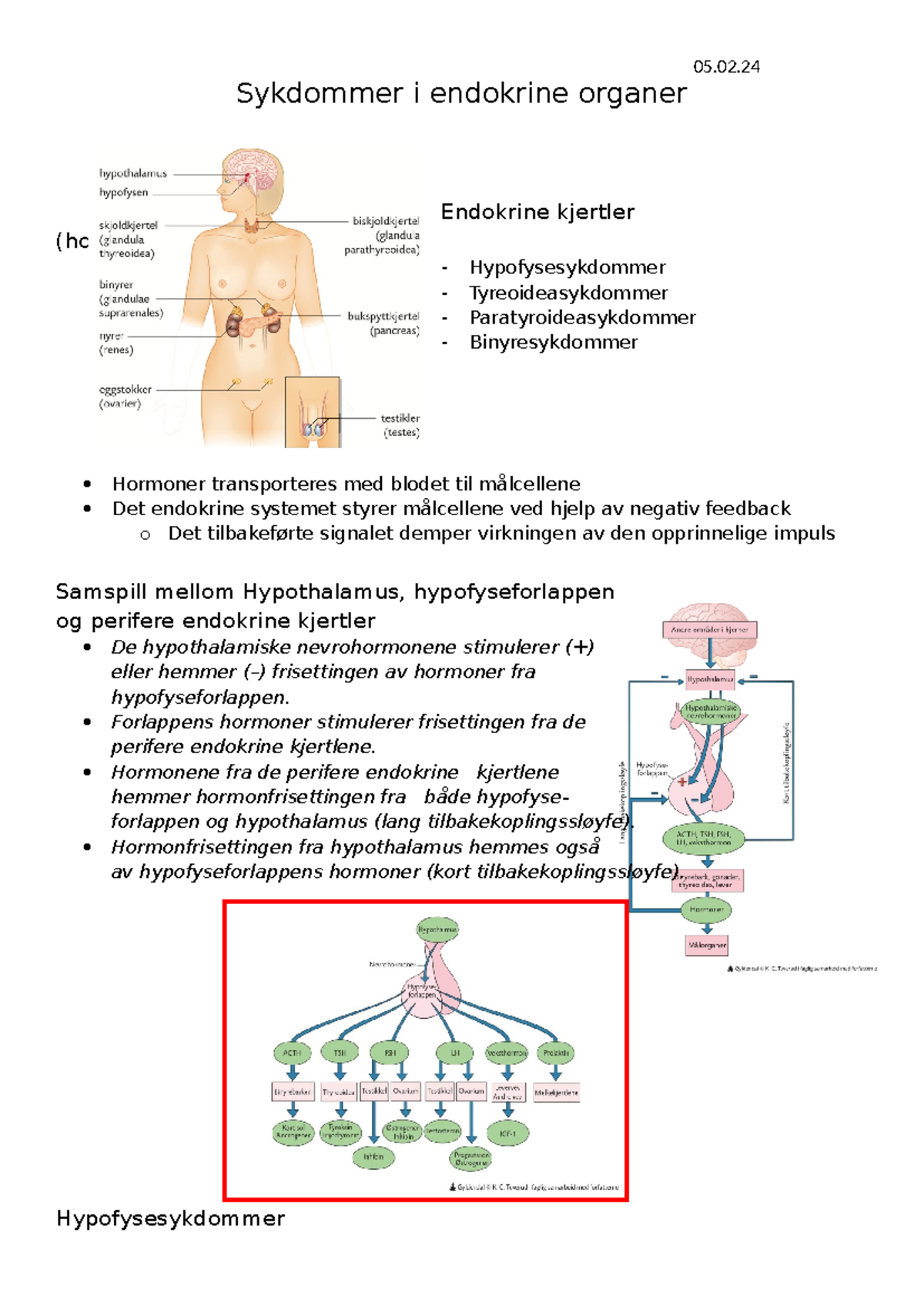 Sykdommer i endokrine organer - Sykdommer i endokrine organer Endokrine ...