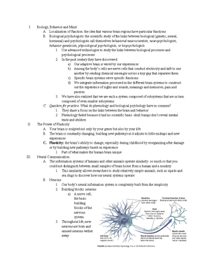 Nutrition Exam 2 Study Guide - Review Sheet (main review sheet): Pages ...