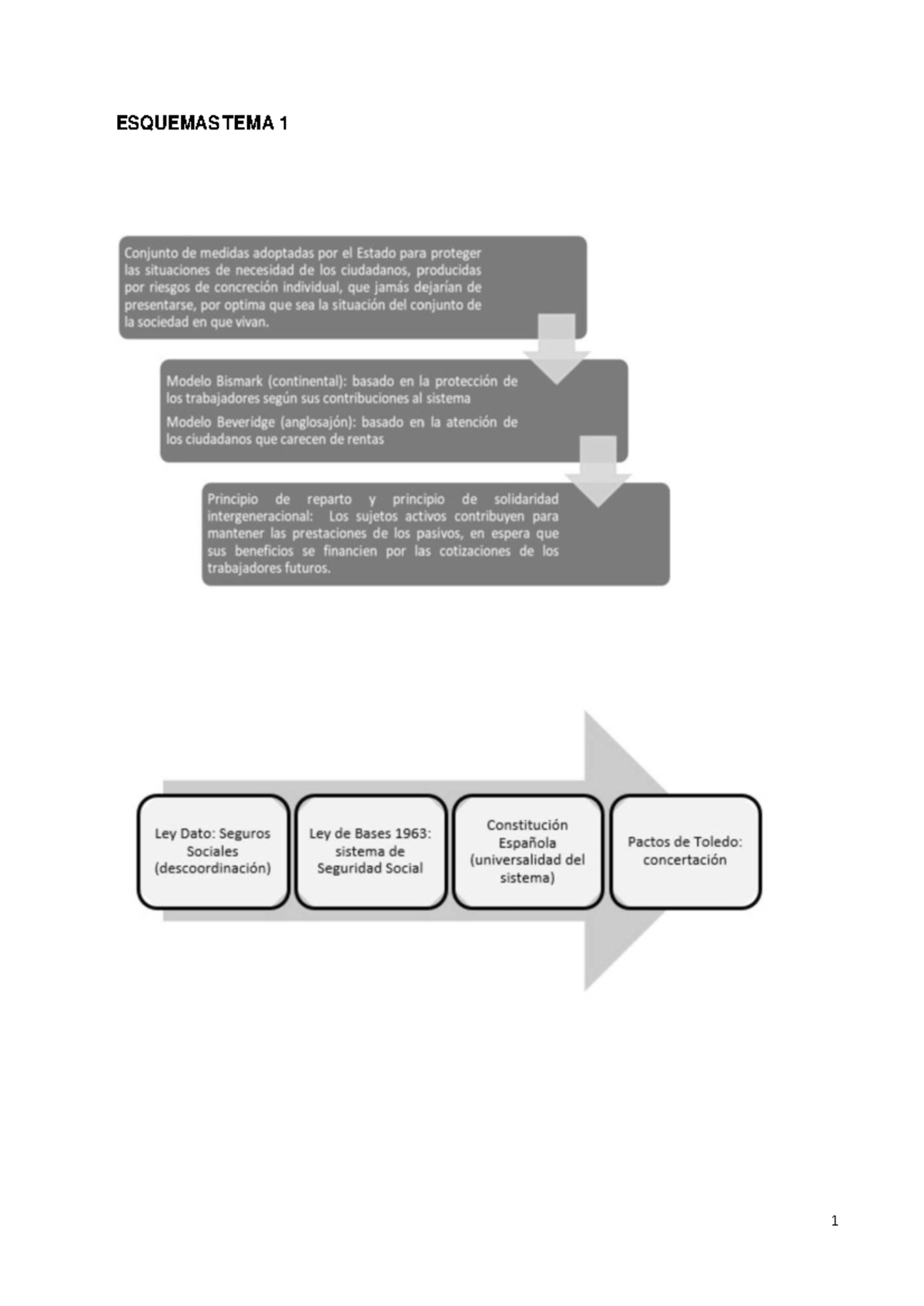 ESQUEMAS DE SEGURIDAD SOCIAL - TEMA 1 A TEMA 13 - Studocu