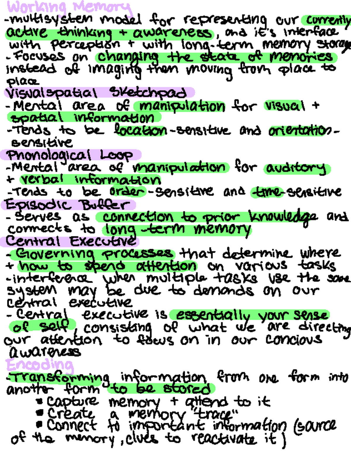 Working Memory: Multisystem Model & Components Analysis - Studocu