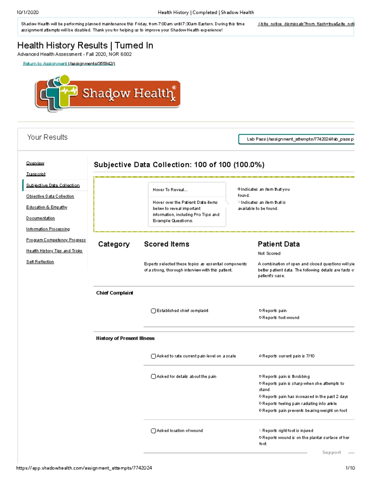 Health History Documentation for Tina Jones - Shadow Health Case Study ...