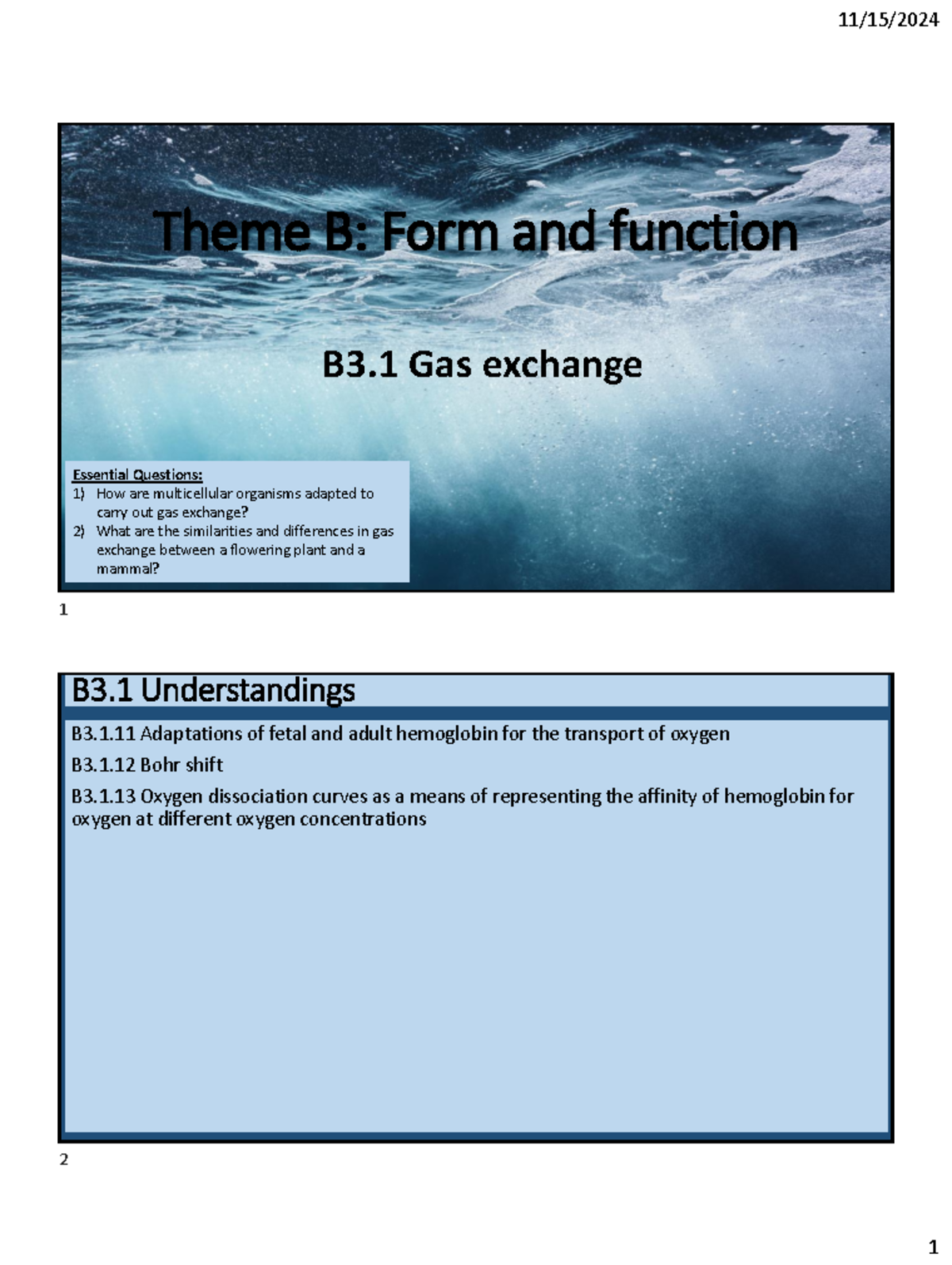 B3.1 student notes - ... - Theme B: Form and function B3 Gas exchange ...