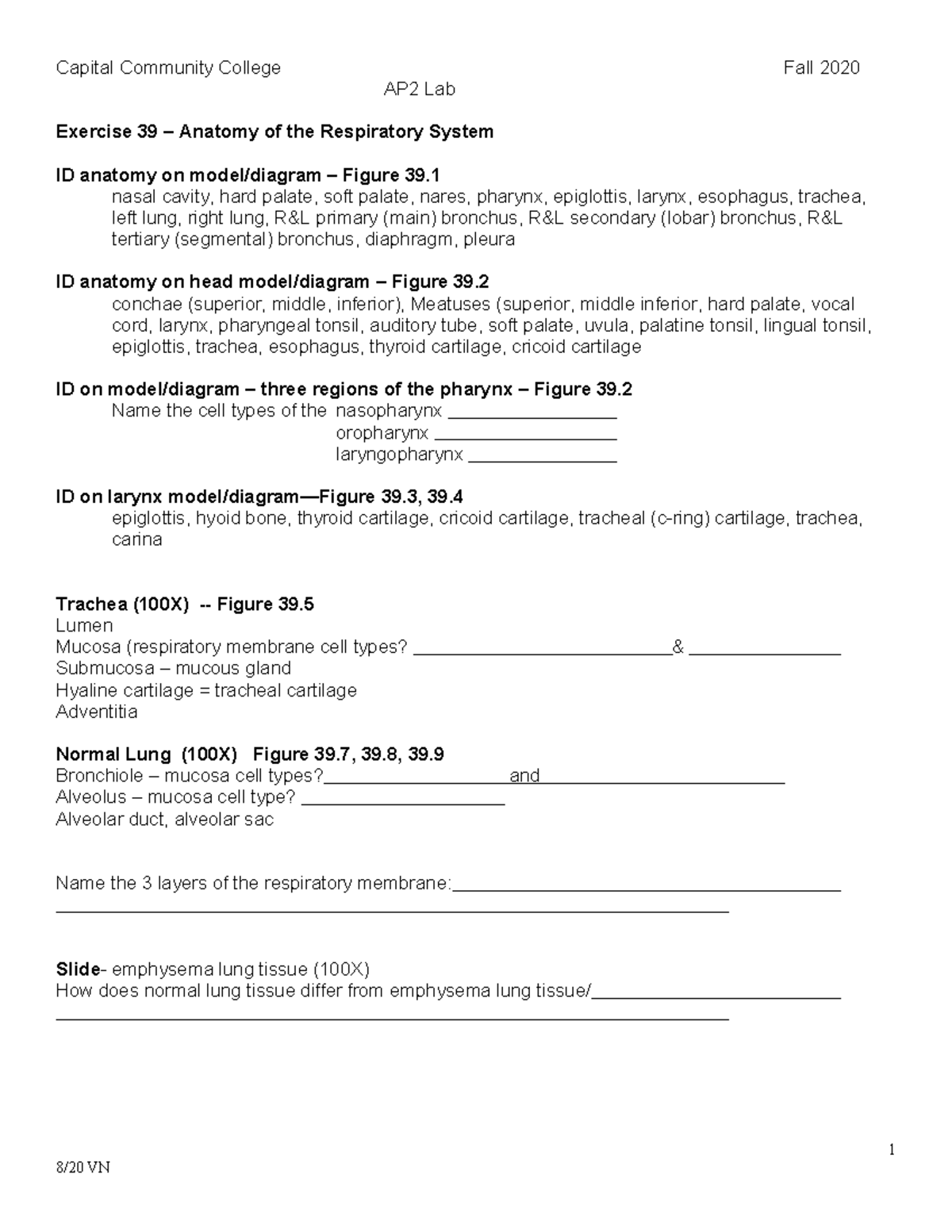 Capital Community College Fall 2020 AP2 Lab Exercise 39: Anatomy of the ...