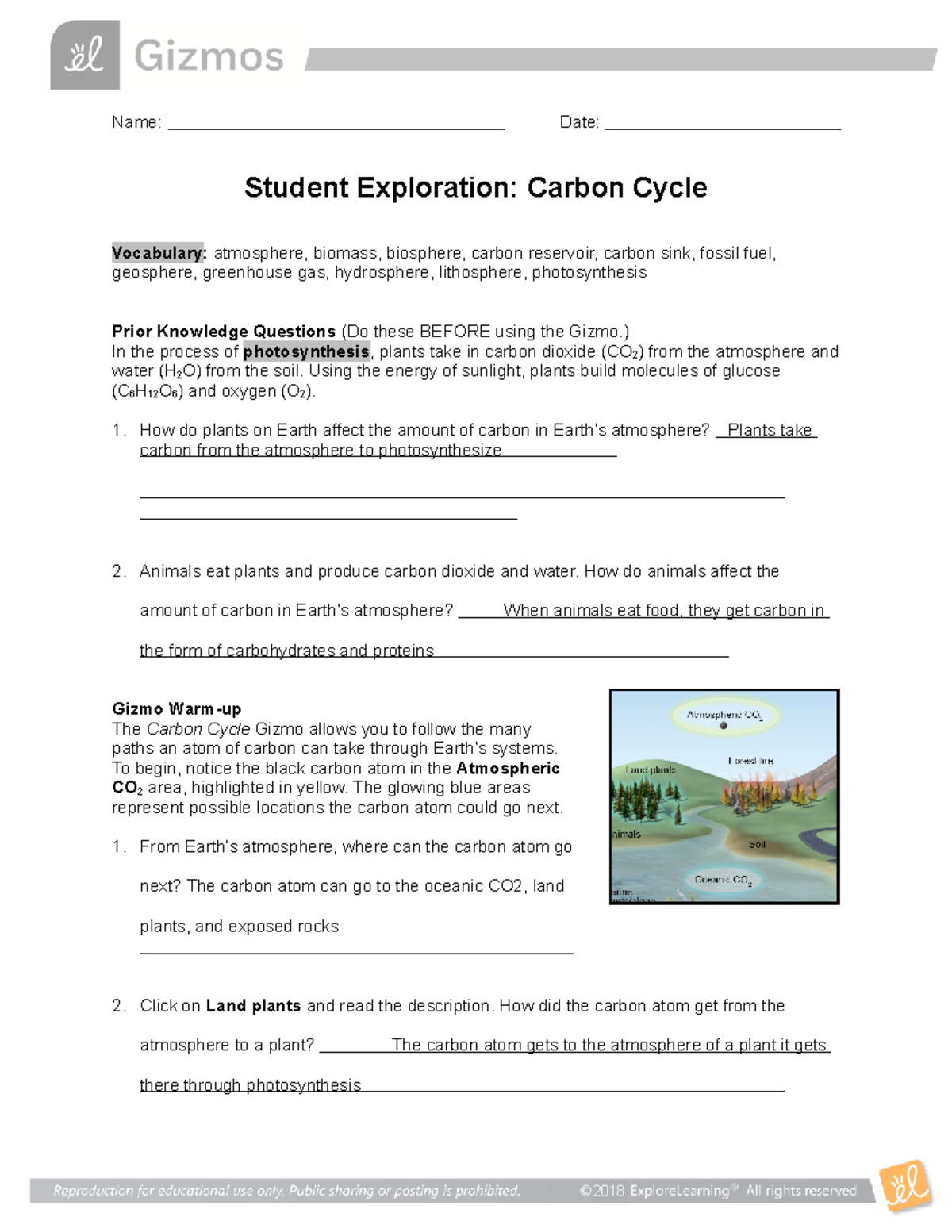 Carbon cycle worksheet - Name: Date: Student Exploration: Carbon Cycle ...