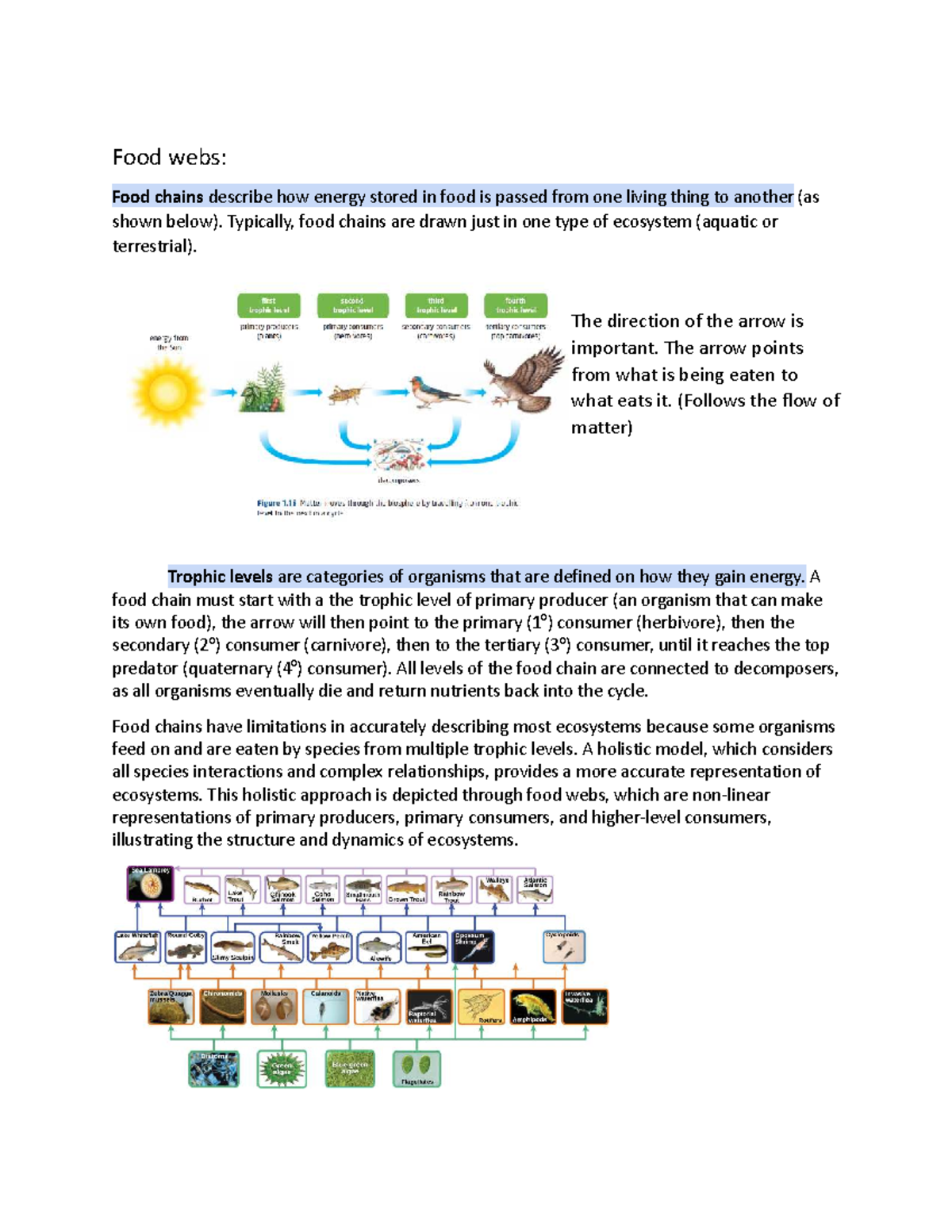 Grade 9 Biology Notes: Food Chains, Ecosystems, and Biodiversity - Studocu