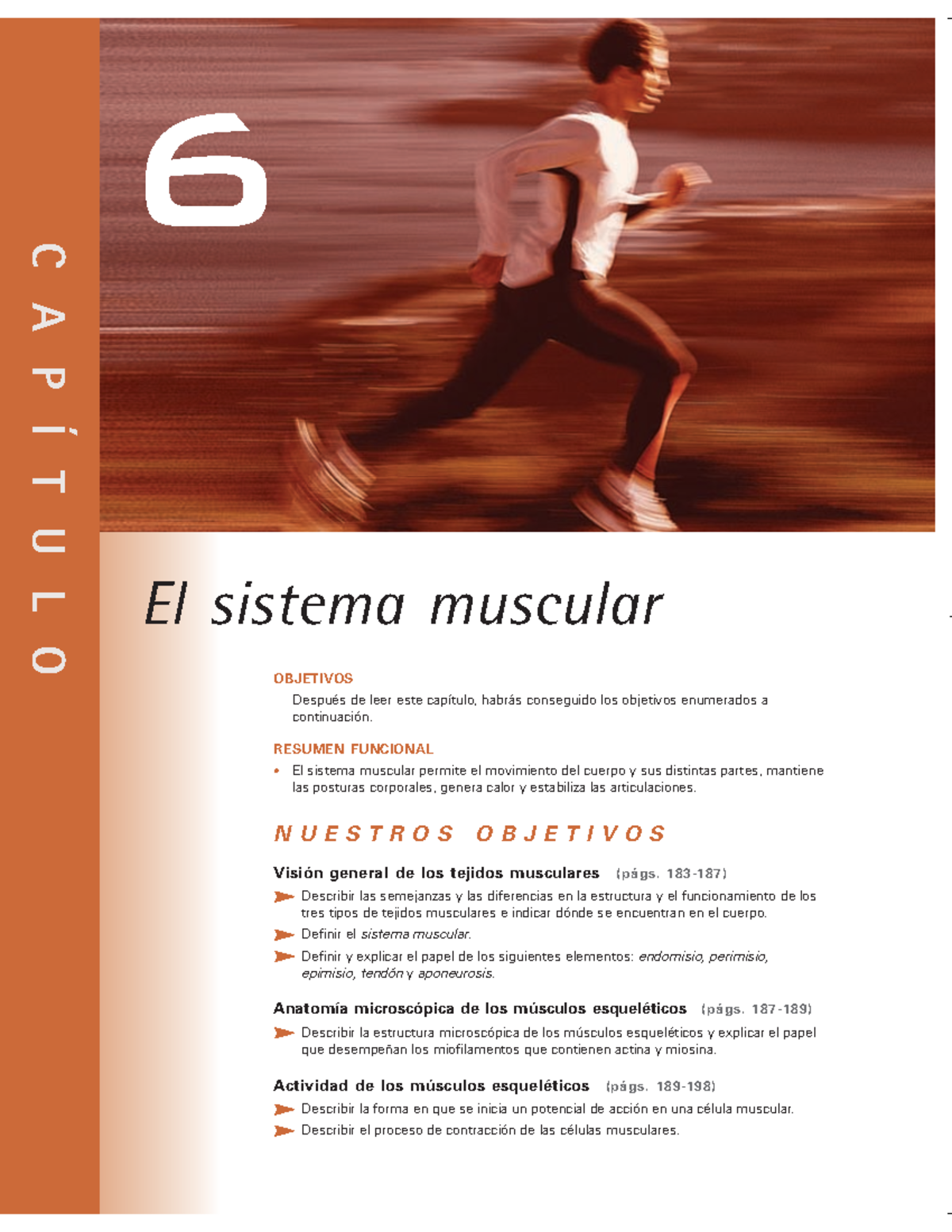 Análisis del Sistema Muscular en el Capítulo 6 de Anatomía y Fisiología ...