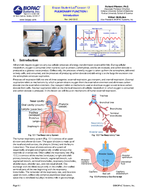 Biogeochemical webquest answer key - Name: Date: Biogeochemical Cycles ...
