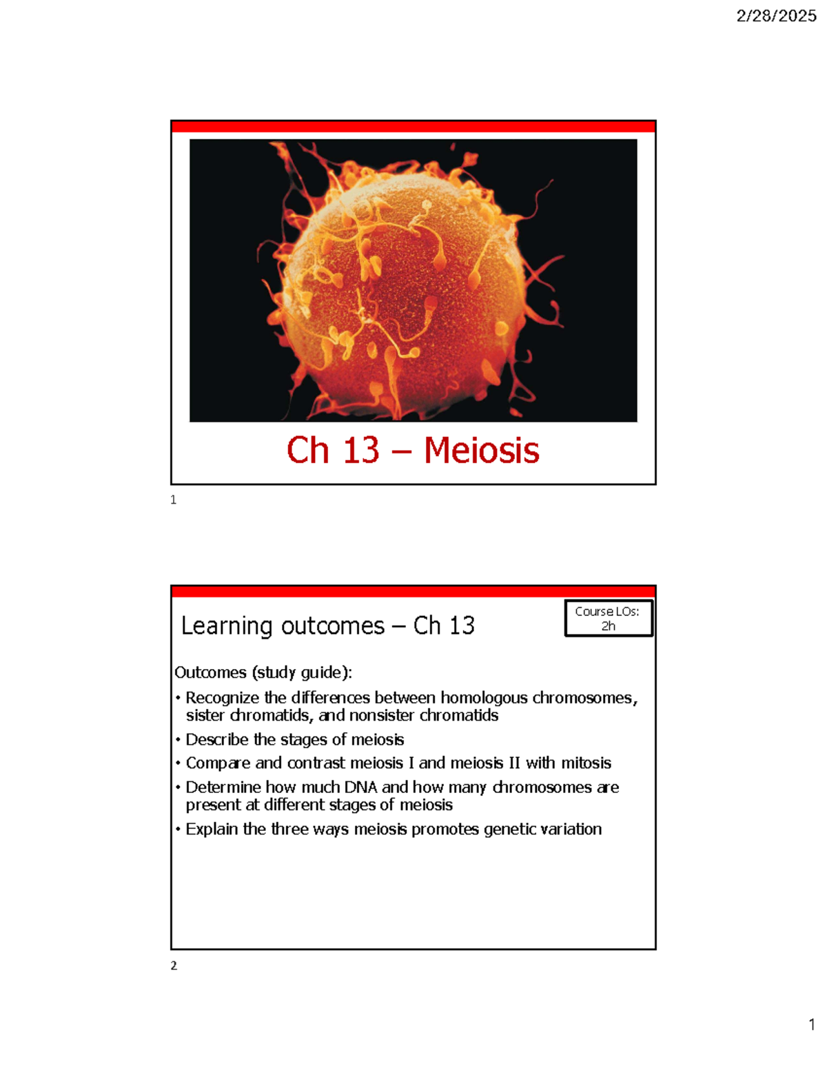 Ch 13 - Meiosis Study Guide and Learning Outcomes - Ch 13 – Meiosis ...