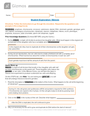 Understanding Meiosis: Process, Stages, and Genetic Diversity Analysis ...