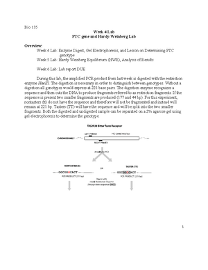 Lab worksheet#2- Biomolecules Chemical Composition - HO H HO H H2O HO H ...
