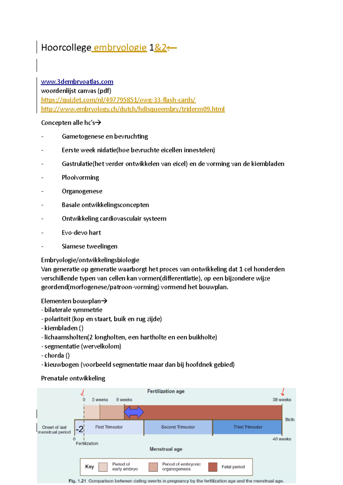 Hoorcollege Embryologie 1 & 2: Bouwplan en Ontwikkelingsconcepten ...