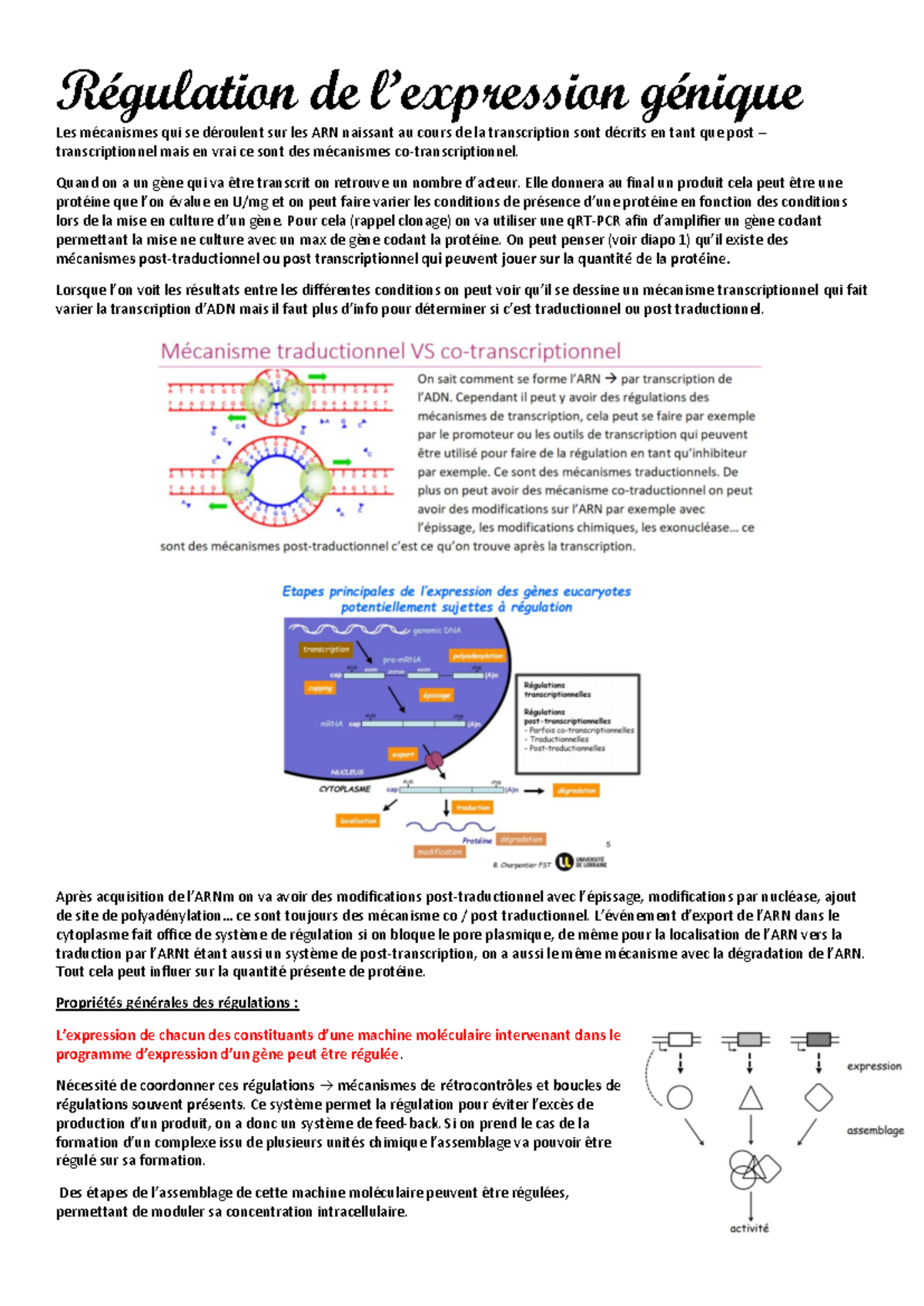 Cours-entier-5 - Régulation de l’expression génique Les mécanismes qui ...