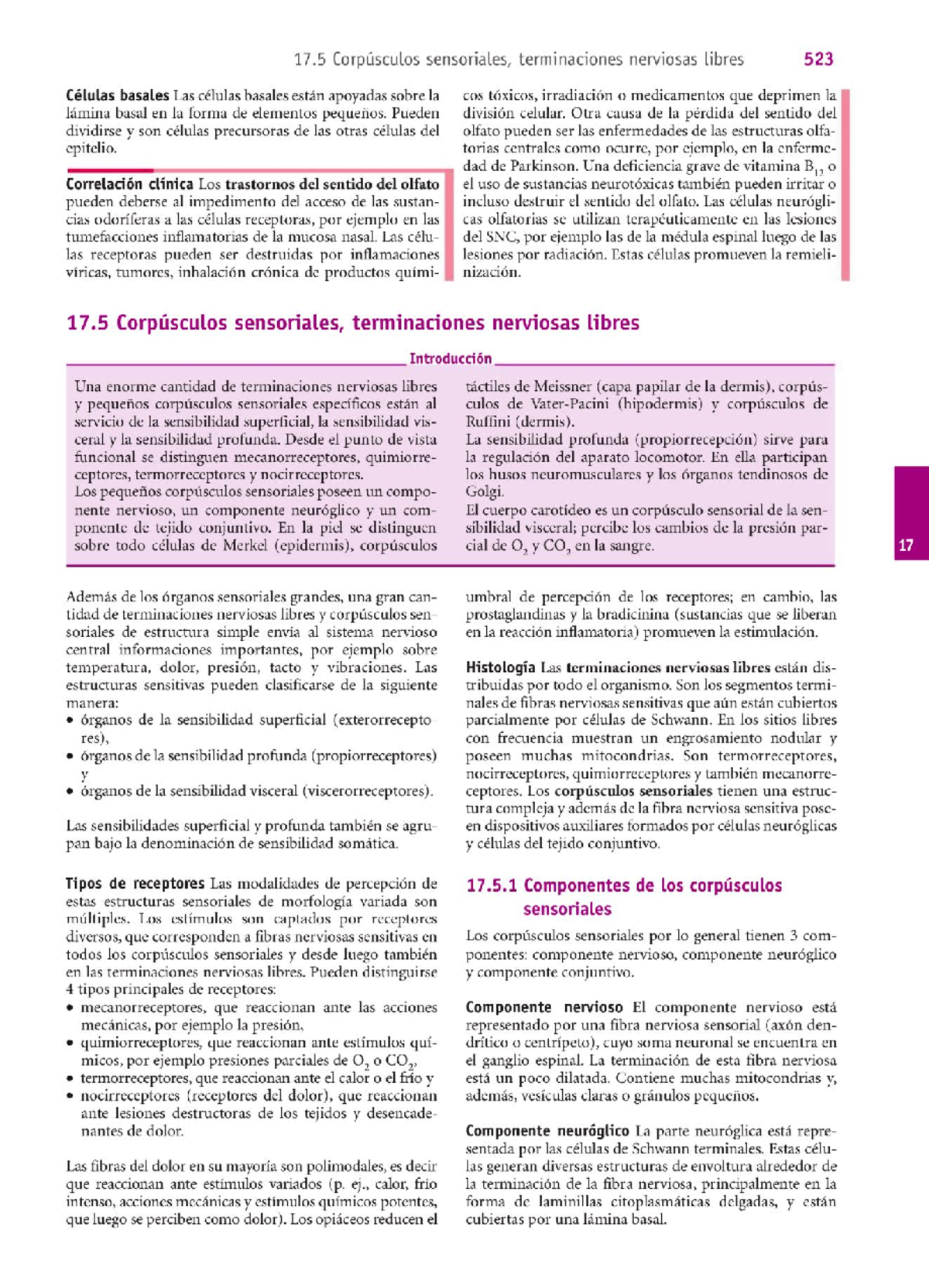 Estudio sobre los Corpúsculos Sensoriales y Receptores Nerviosos - Studocu