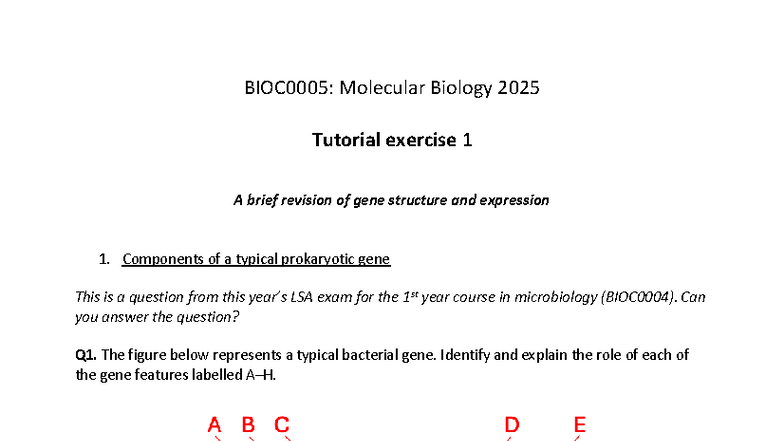 Molecular Biology 2025: Tutorial Exercise 1 - Gene Structure ...