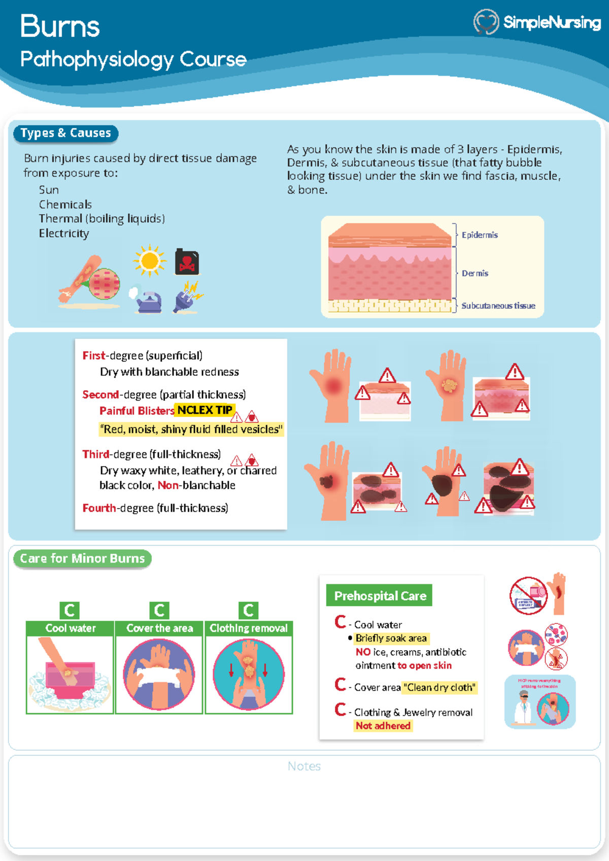 Burns Pathophysiology: Types, Causes & Minor Care Tips - Studocu