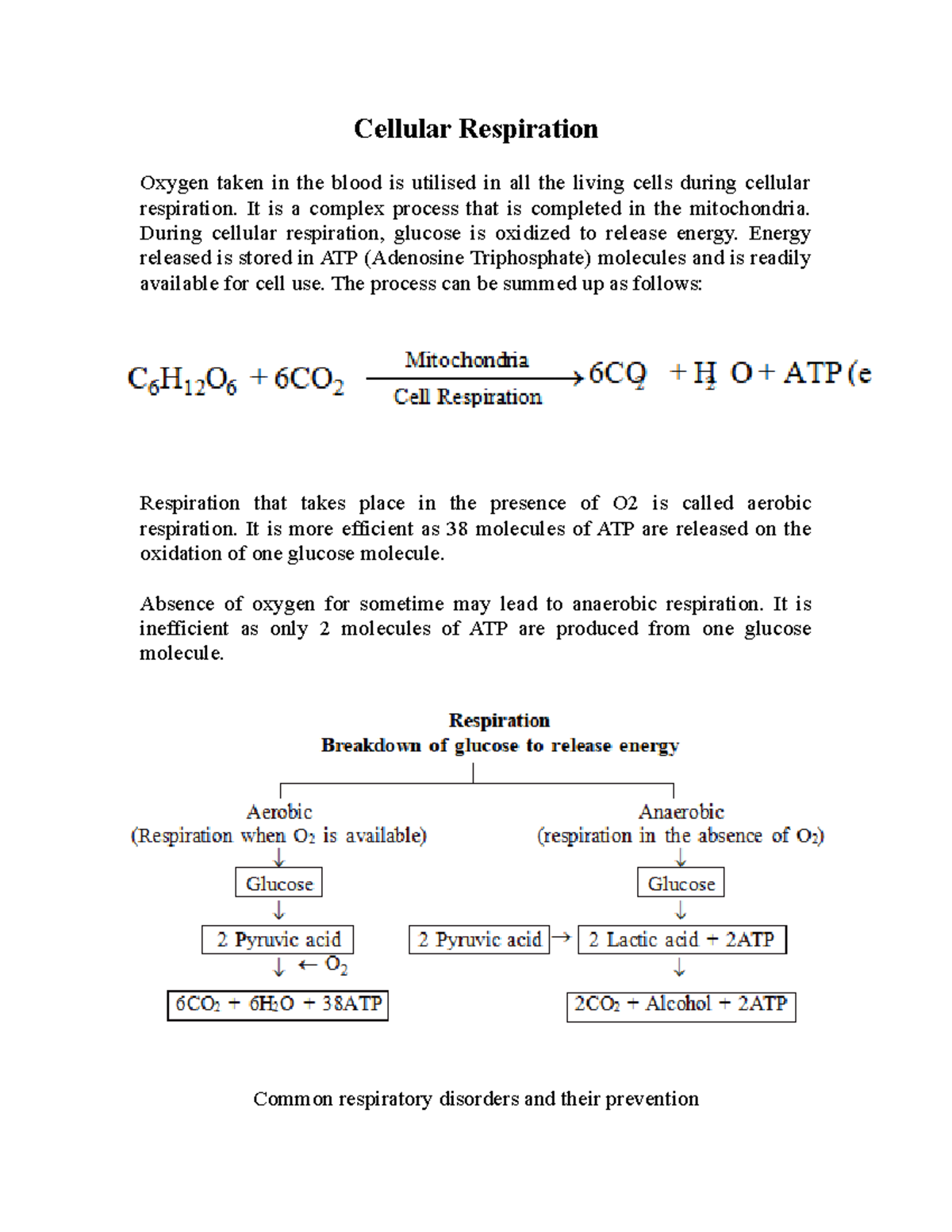 Cellular Respiration Notes - Cellular Respiration Oxygen taken in the ...