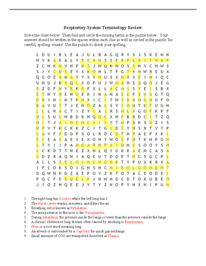 [Solved] Unit 2 Medical Terminology Respiratory System Within the ...