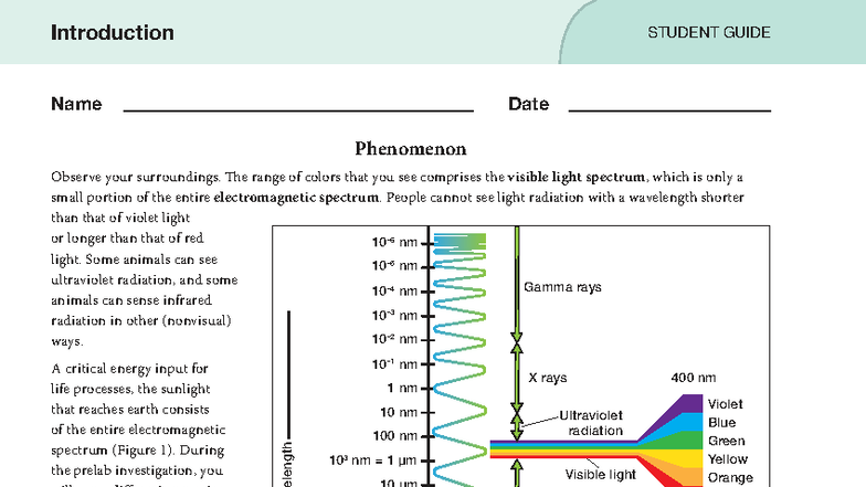 Prelab Investigation: Algae Bead Photosynthesis (BIO 101) - Studocu