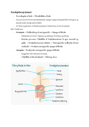 KROB modellen - Vidensformer - KROB-modellen: - klinisk refleksion ...
