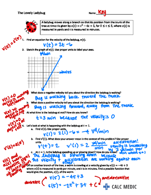 Bummer Game Questions - NGPF Activity Bank Insurance Teacher Tip Video ...