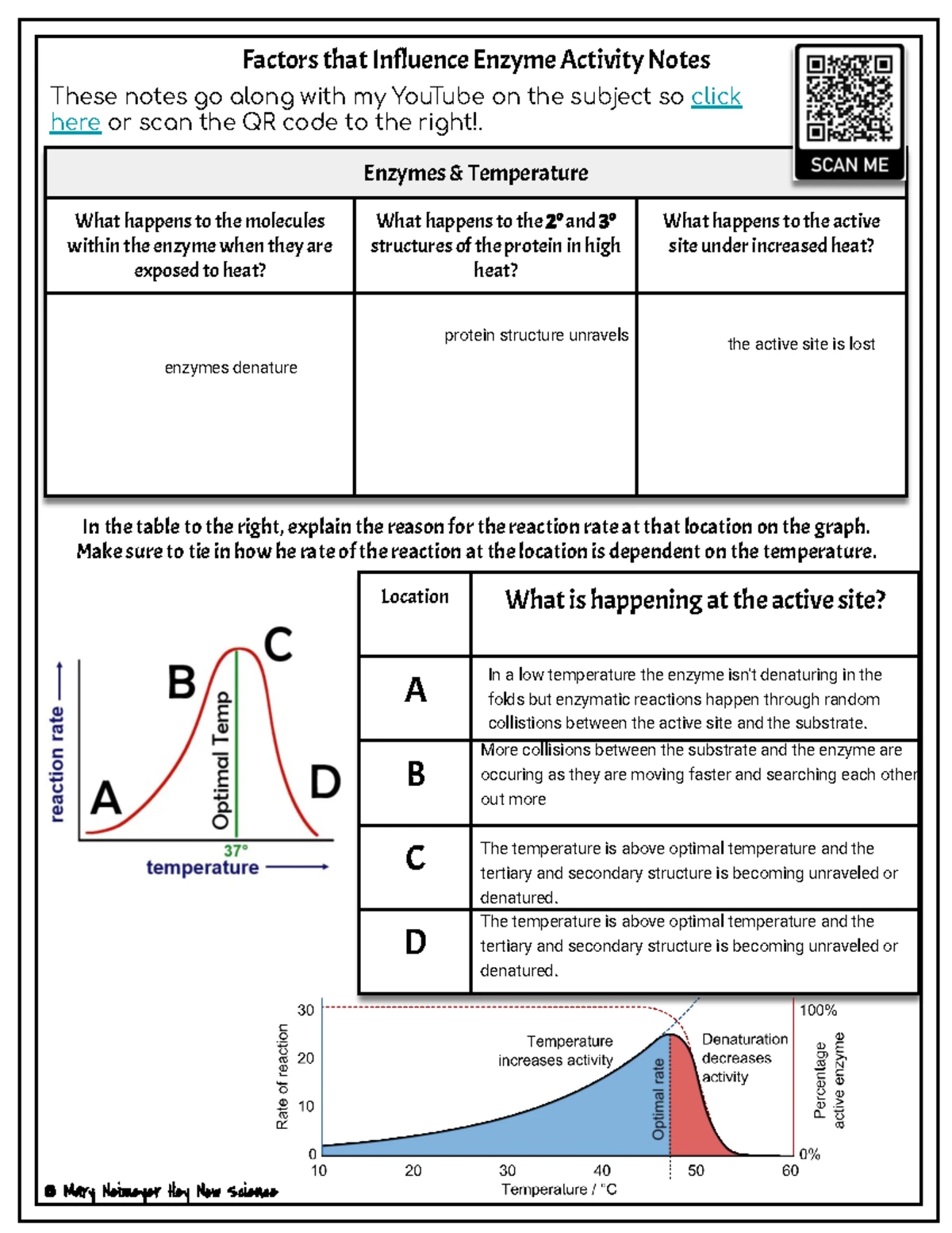AP Biology Unit 2 Notes: Cell Membrane Structure & Transport Mechanisms ...