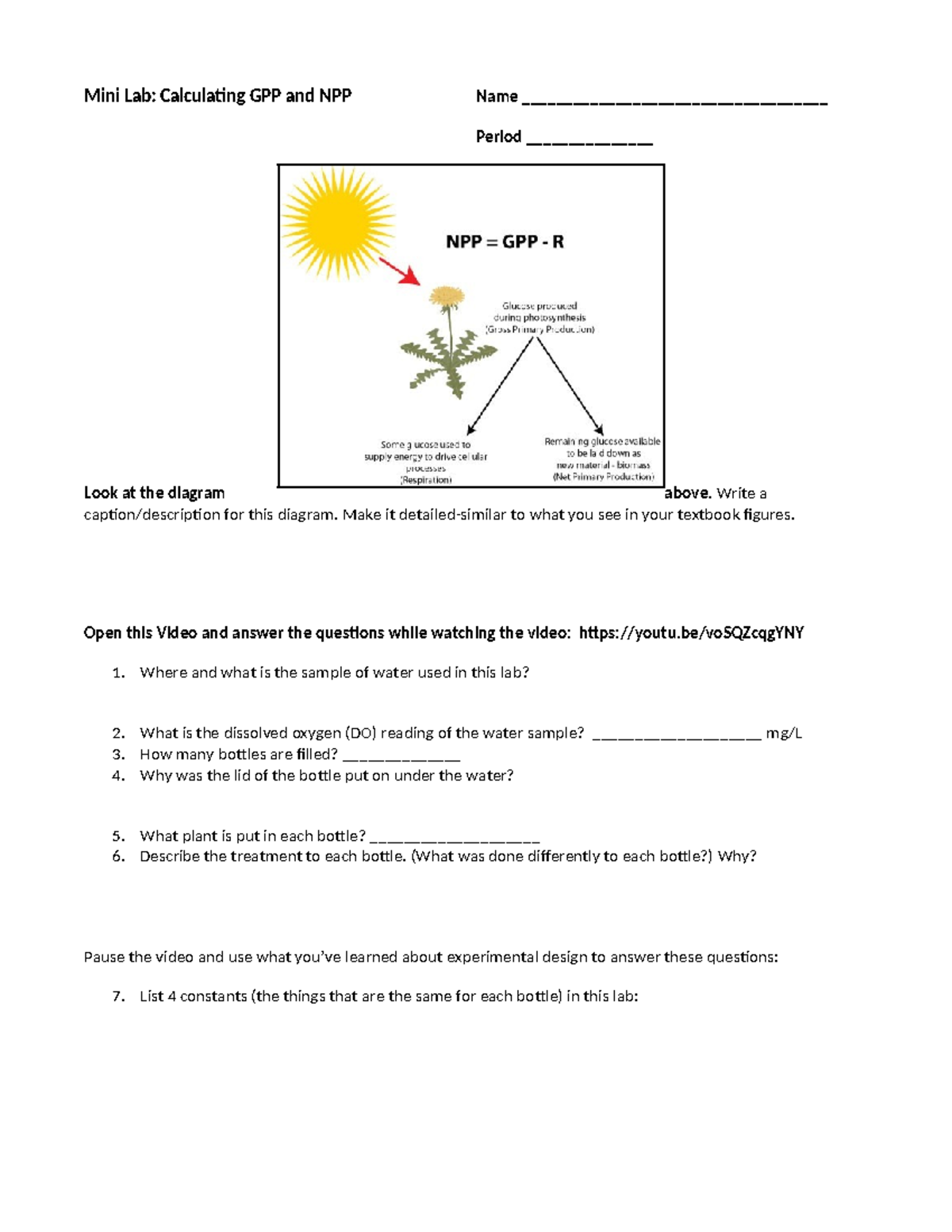 Mini Lab: Calculating GPP and NPP in Ecosystems (BIOL 101) - Studocu
