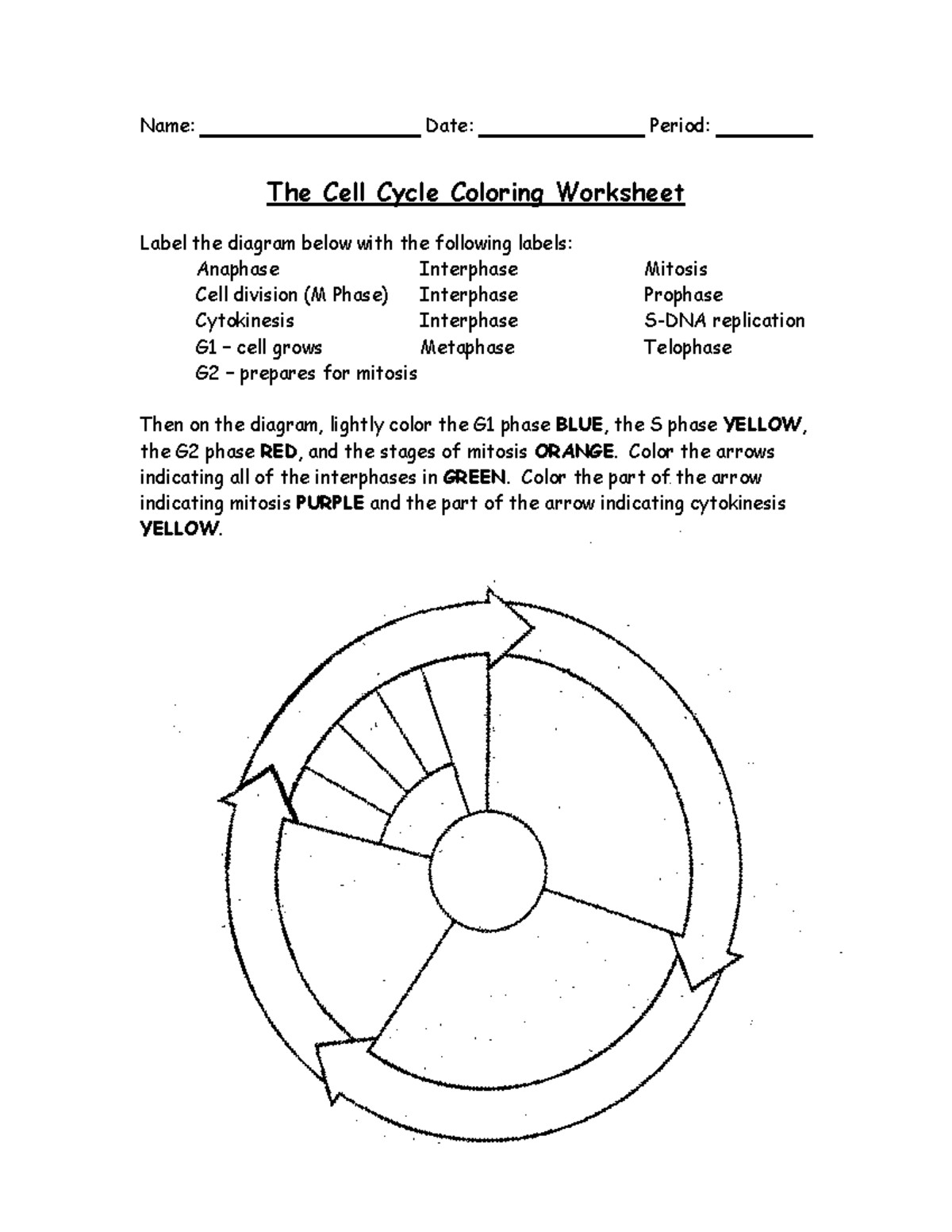 Cell Cycle Coloring WS & Study Guide (Bio 101) - Studocu