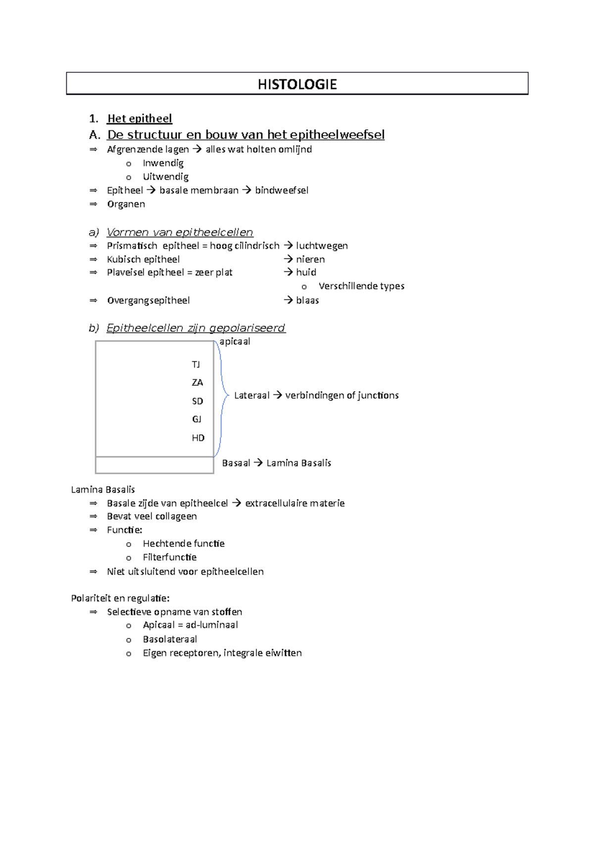 Samenvatting Histologie - Hoofdstuk 1 tot 7: Epitheel, Huid en ...