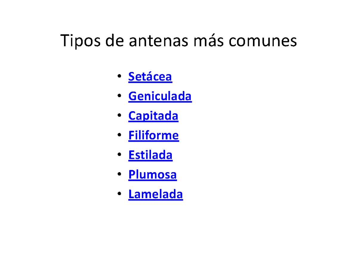 Tipos Comunes de Antenas en Insectos: Ejemplos y Descripciones - Studocu