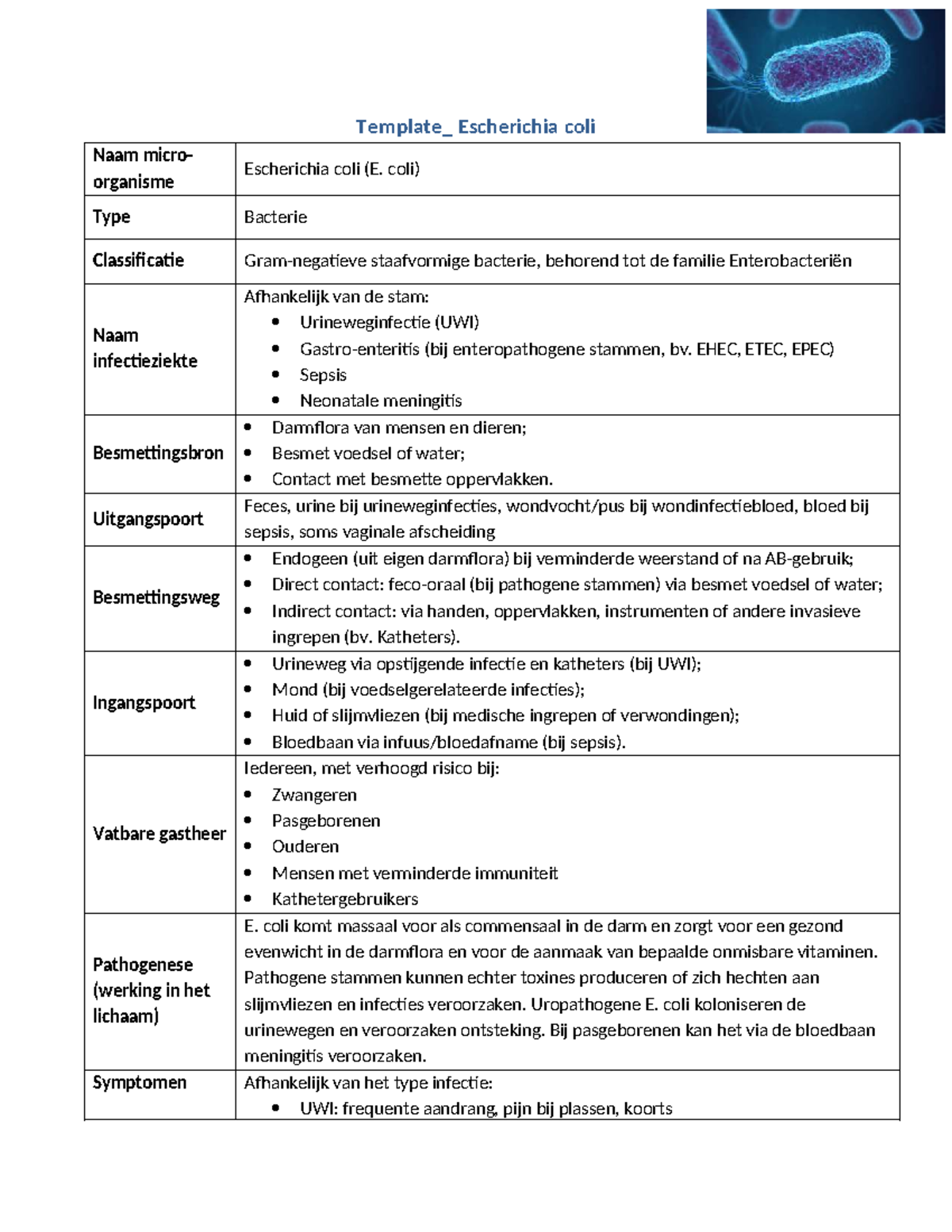Template: Escherichia coli (E. coli) Microbiologie en Infecties - Studocu