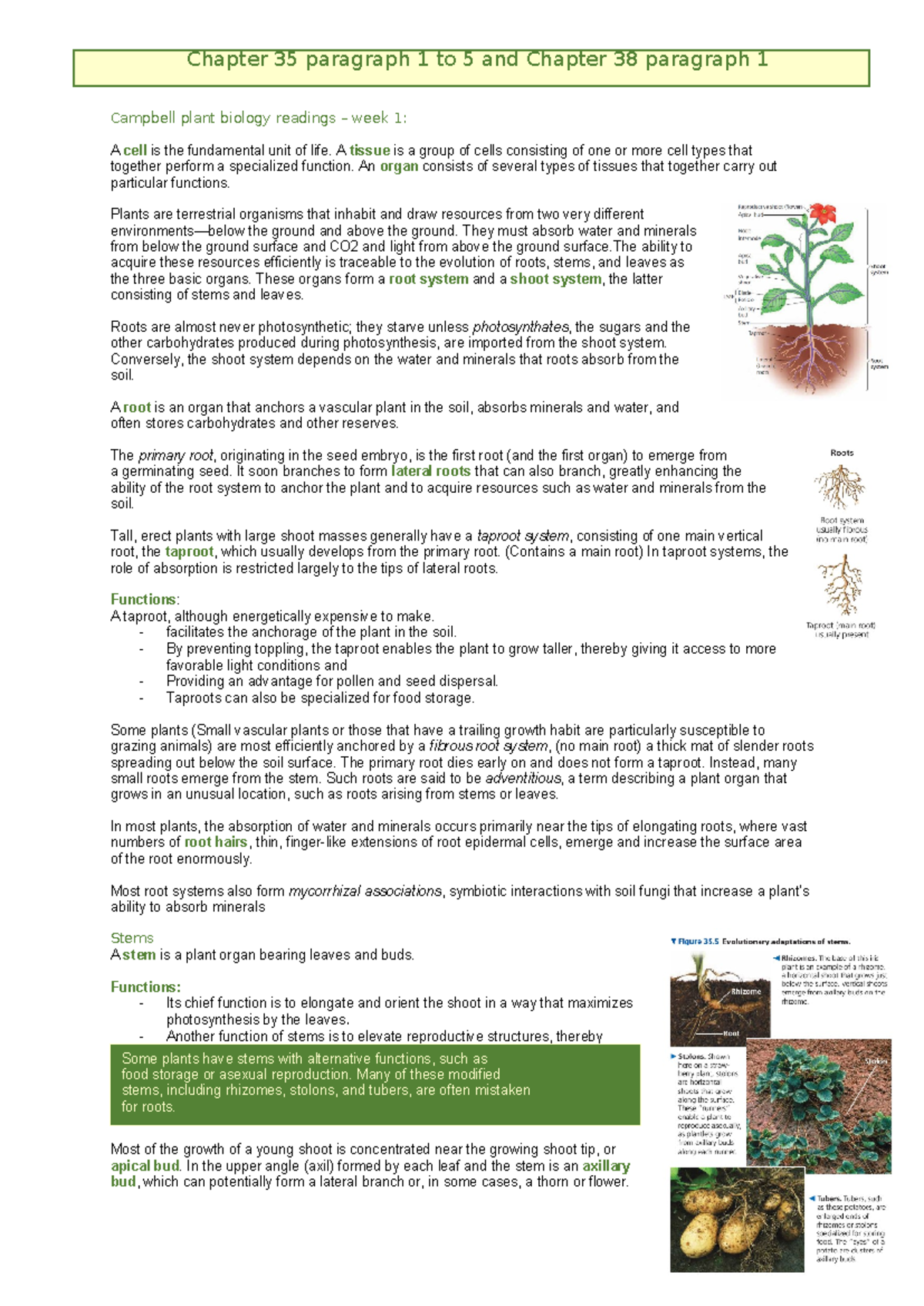 Campbell Plant Biology Week 1 & 2: Organ Systems & Functions - Studeersnel