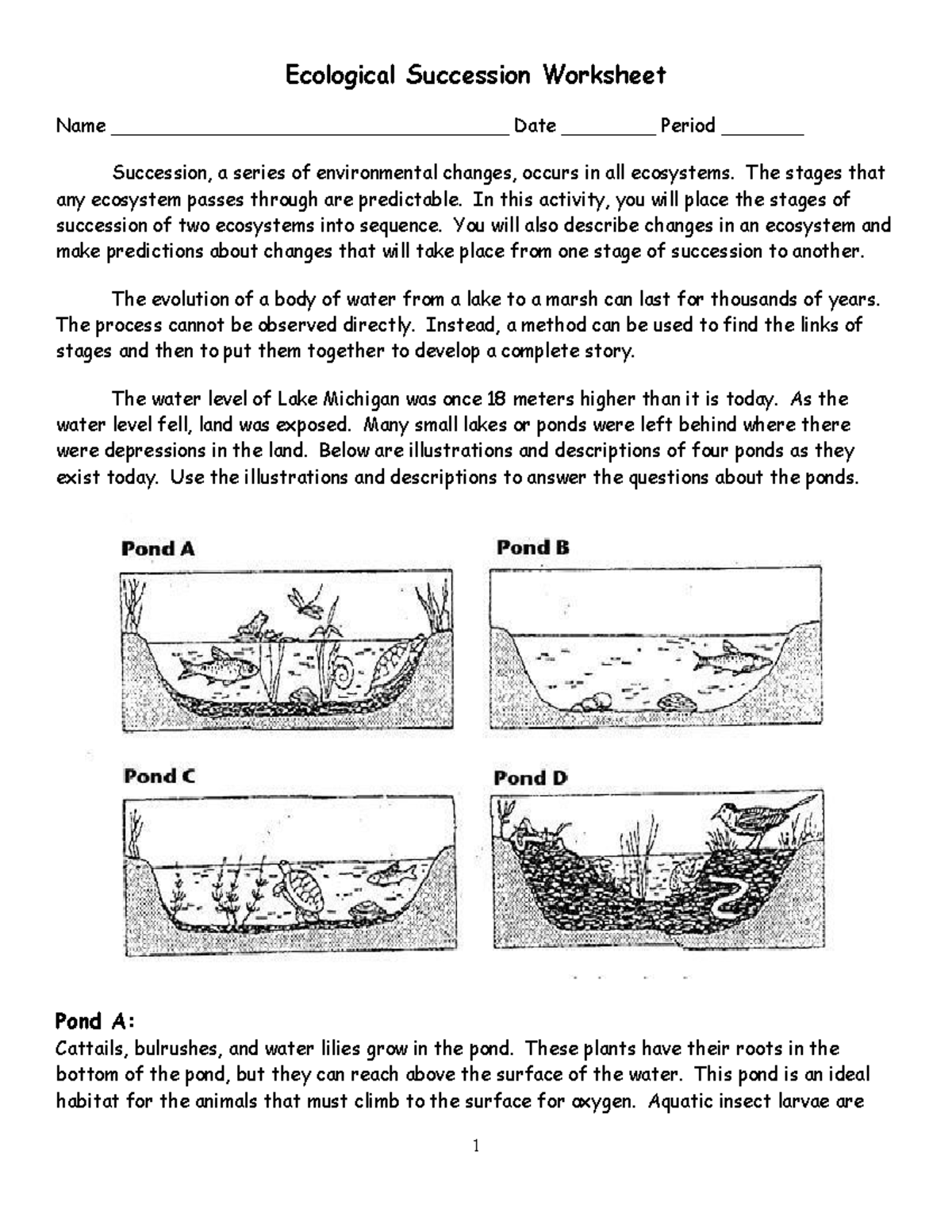 Ecological Succession Lab Worksheet: Pond Stages & Predictions - Studocu