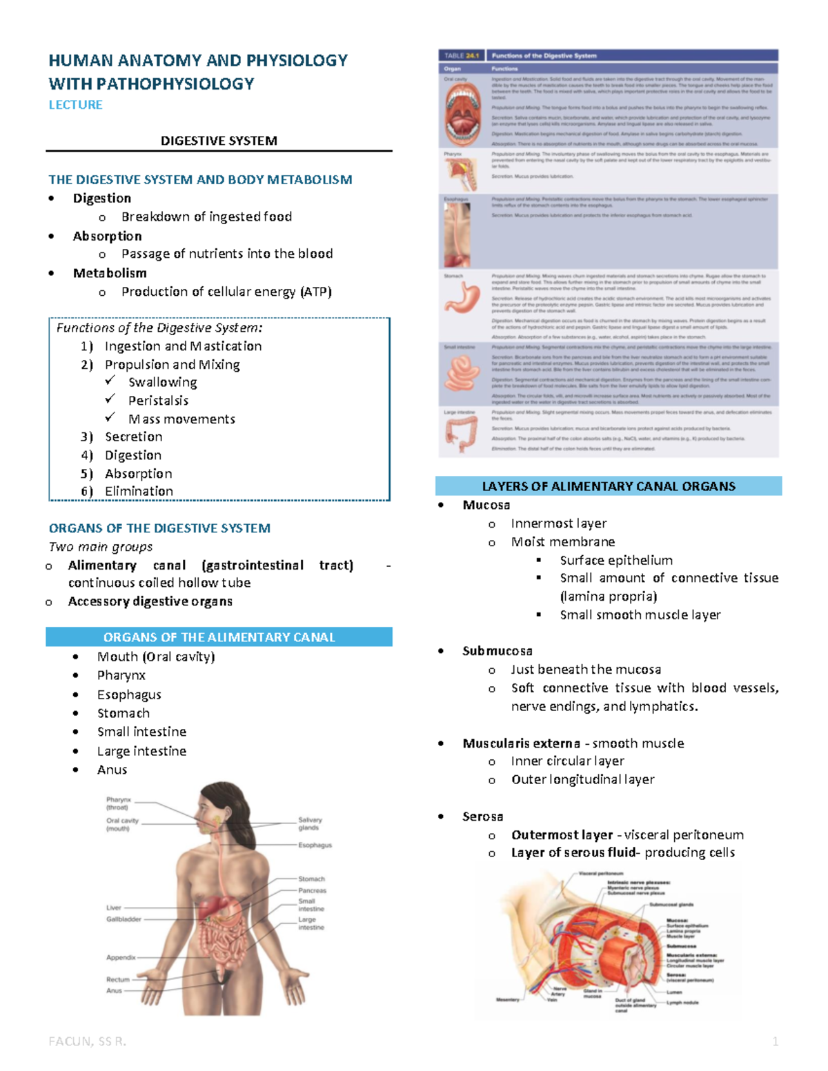 HAPPC-1P Digestive System Lecture Notes: Anatomy & Physiology Overview ...