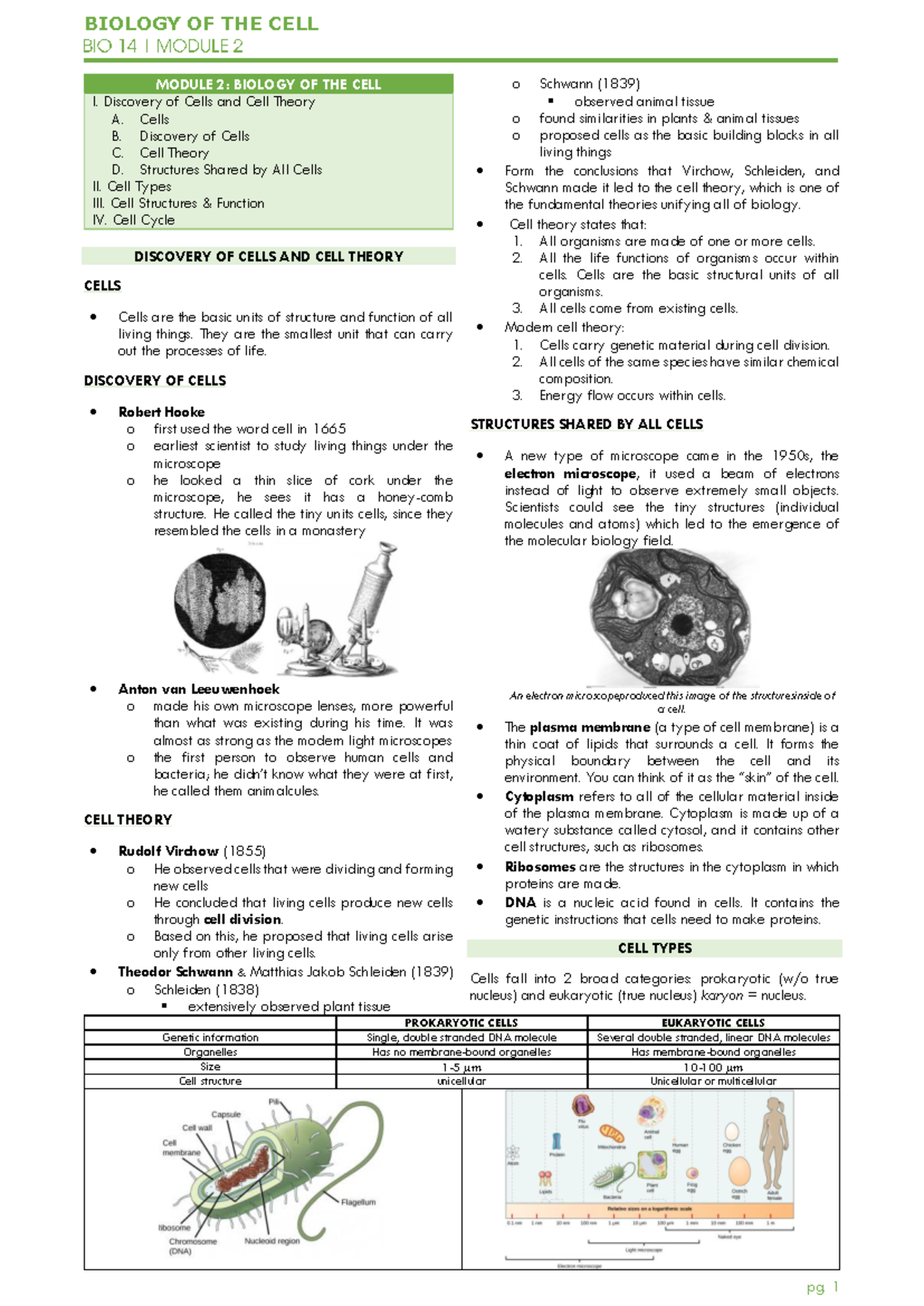 BIO 101: Module 2 - Cell Discovery, Theory, and Structures - Studocu