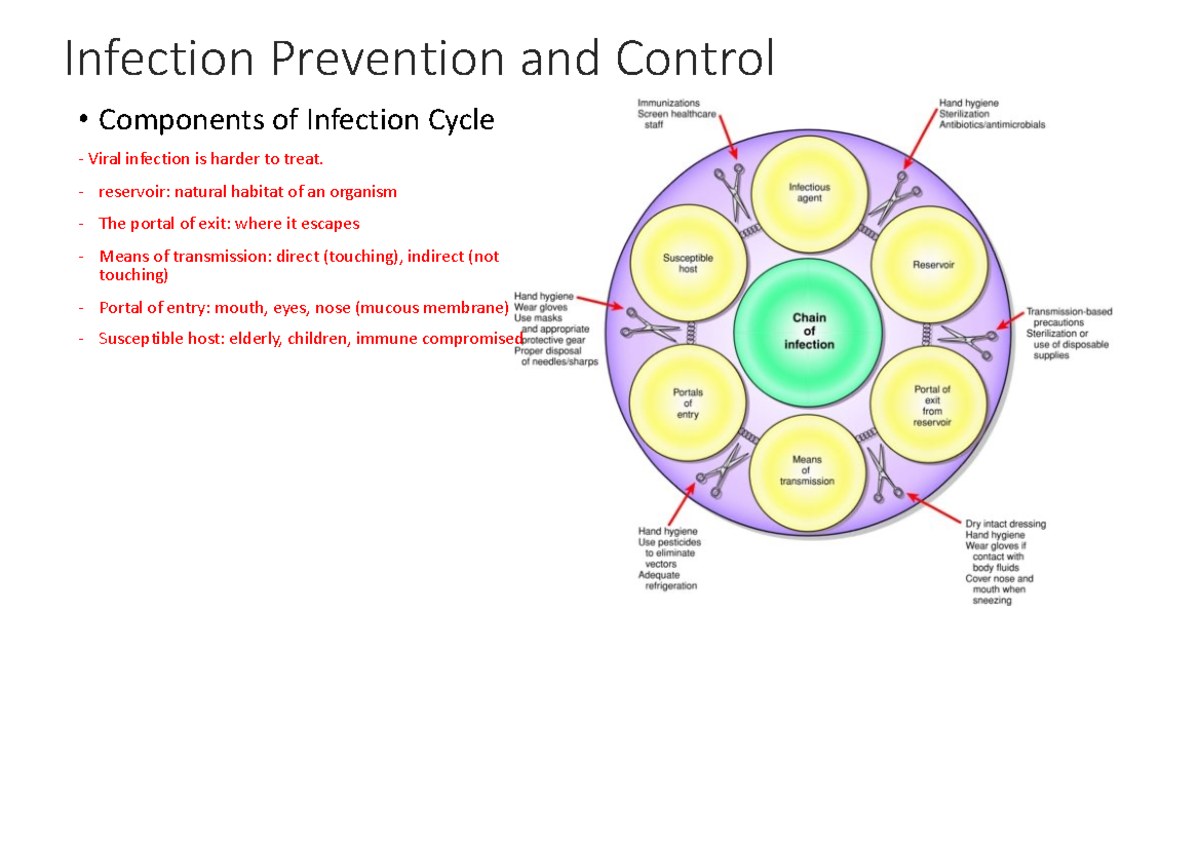 Infection Control & Prevention: Key Concepts and Practices (NUR 101 ...