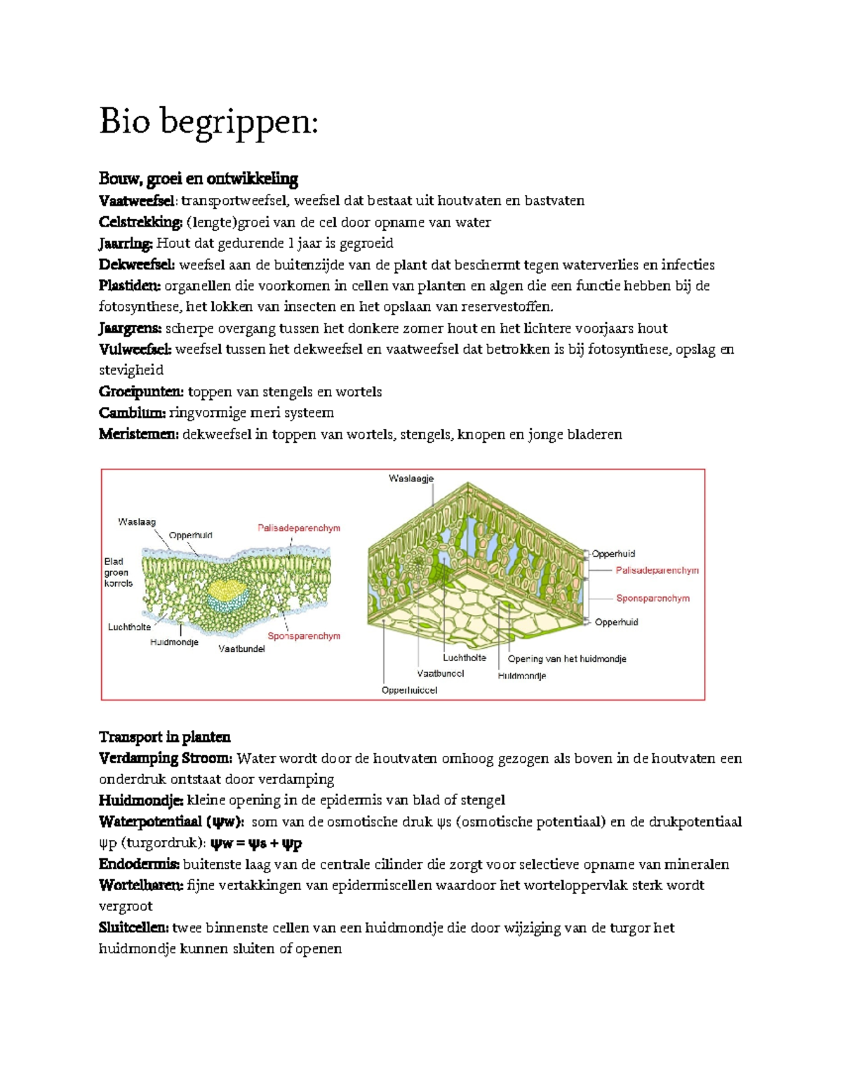 Bio Begrippen voor Biologie: Bouw, Groei en Ontwikkeling - Studeersnel