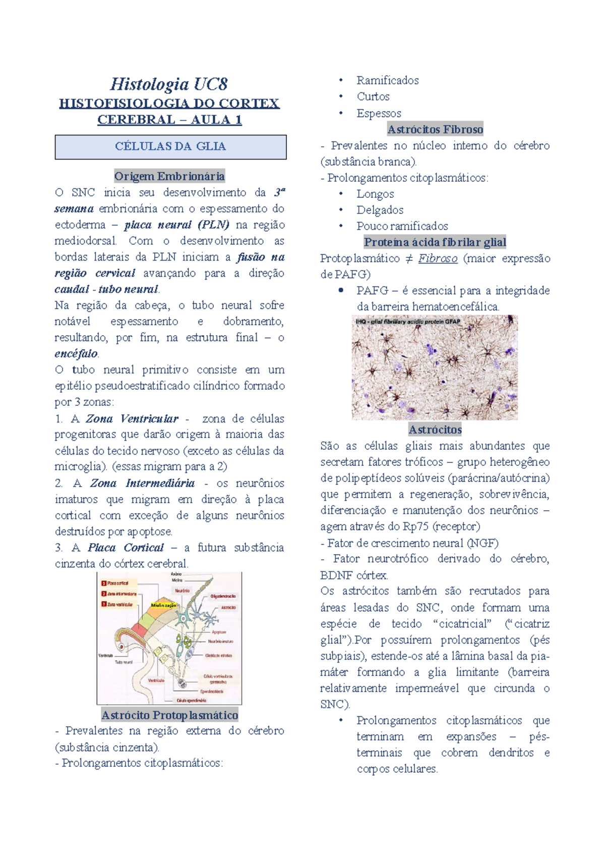 Histologia UC8 - Resumo de Histopatologia do Córtex Cerebral e Olho ...