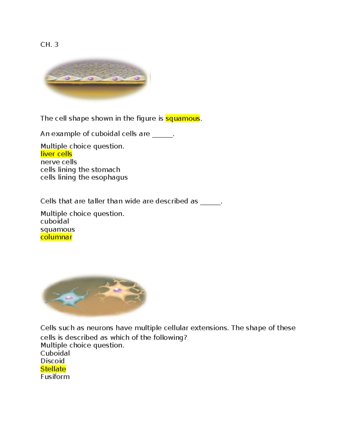 CH3 A&P 1 Quiz Question Bank: Cell Structure & Transport Mechanisms ...