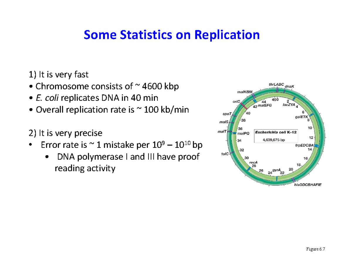 January 20 2025 - mnn nm nnm m n - 1) It is very fast• Chromosome ...