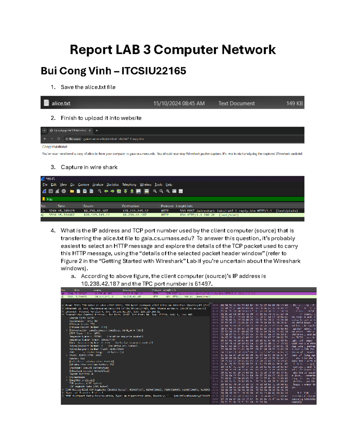 LAB 3 Report: Computer Networks ITCSIU 22165 Analysis and Findings ...