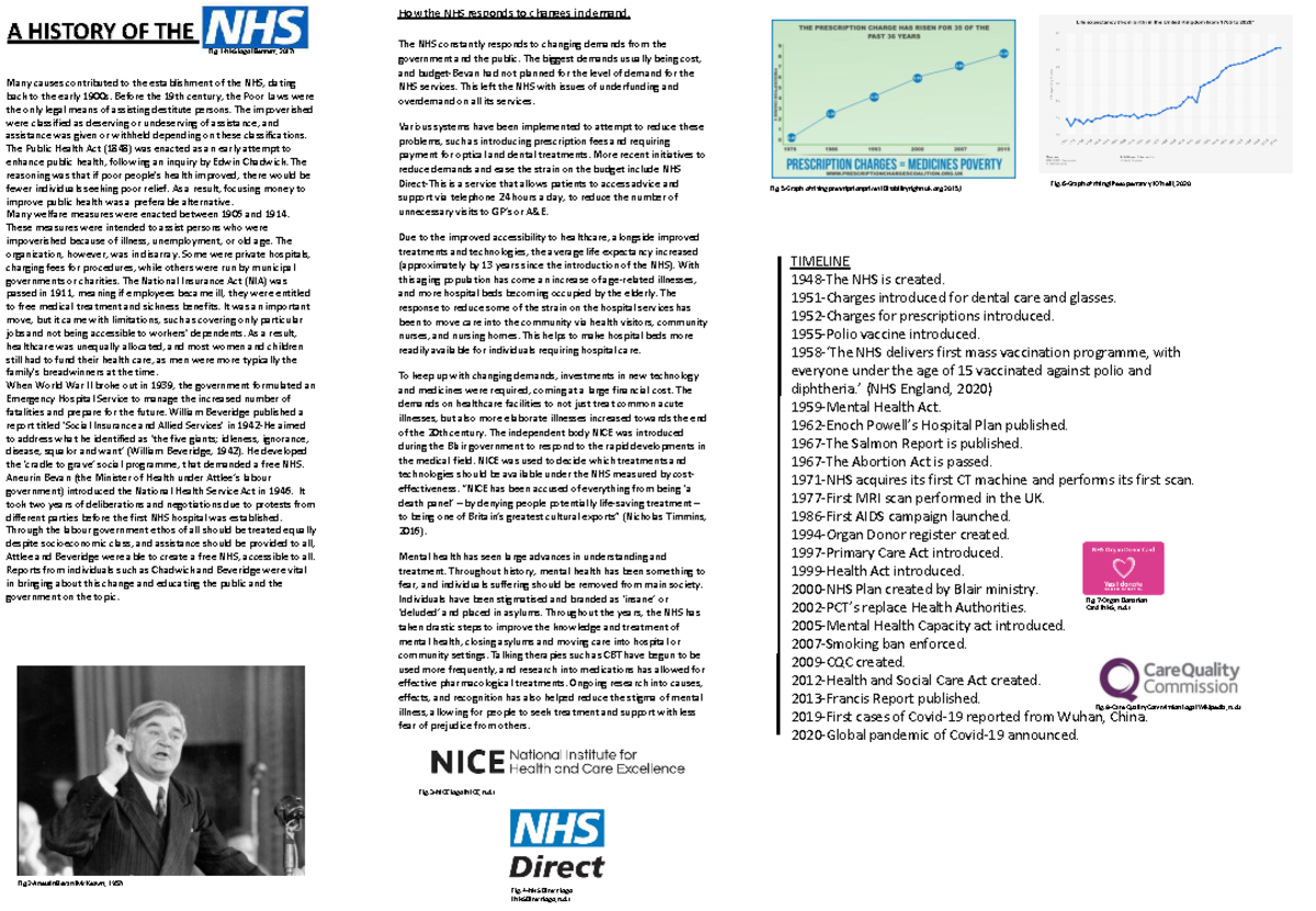 Unit 6-History of the NHS (Academic Poster) - A HISTORY OF THE Many ...