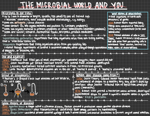 MICR130+ Final+EXAM+ Study+ Guide - FINAL EXAM STUDY GUIDE MICR The ...