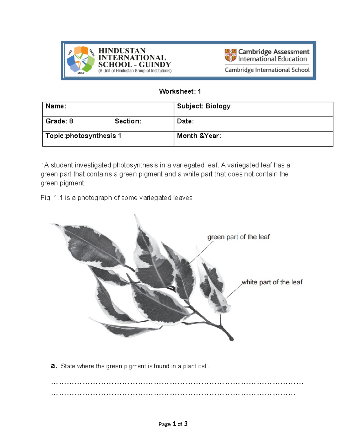 Bio - Bioneorkesheet - Worksheet: 1 Name: Subject: Biology Grade: 8 ...